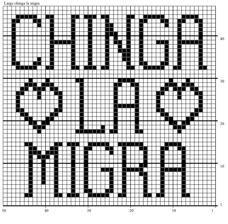 Chinga la migra (large) – Patterns of Resistance – Five Stitches Crochet